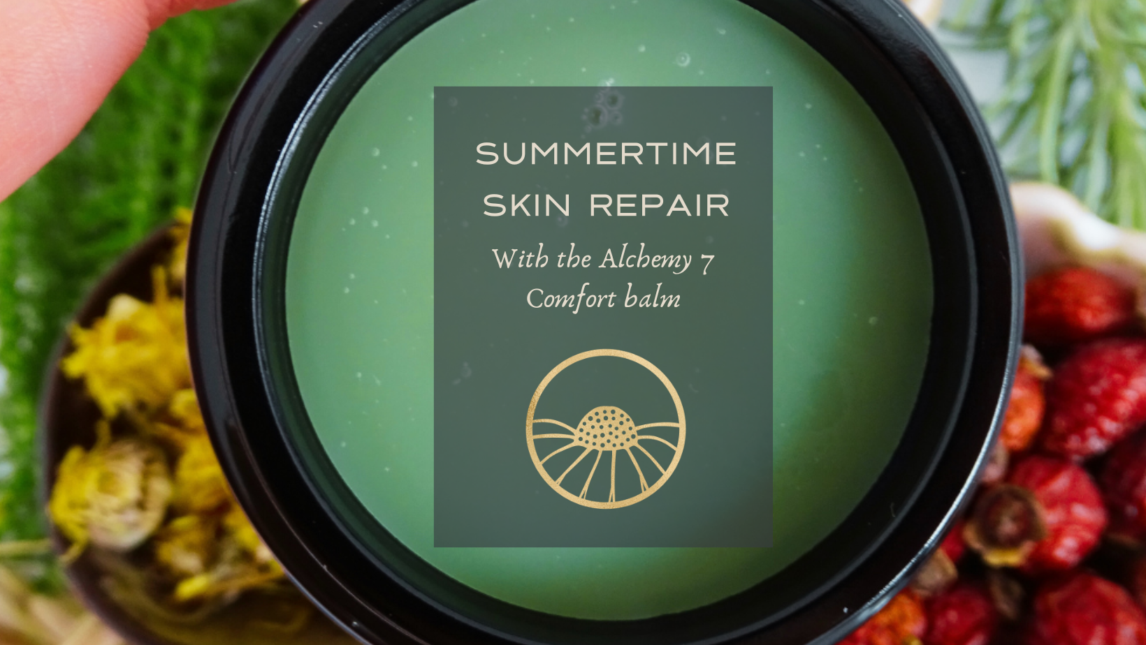 Skin repair with Alchemy 7 Comfort Balm – NEVE WELLNESS
